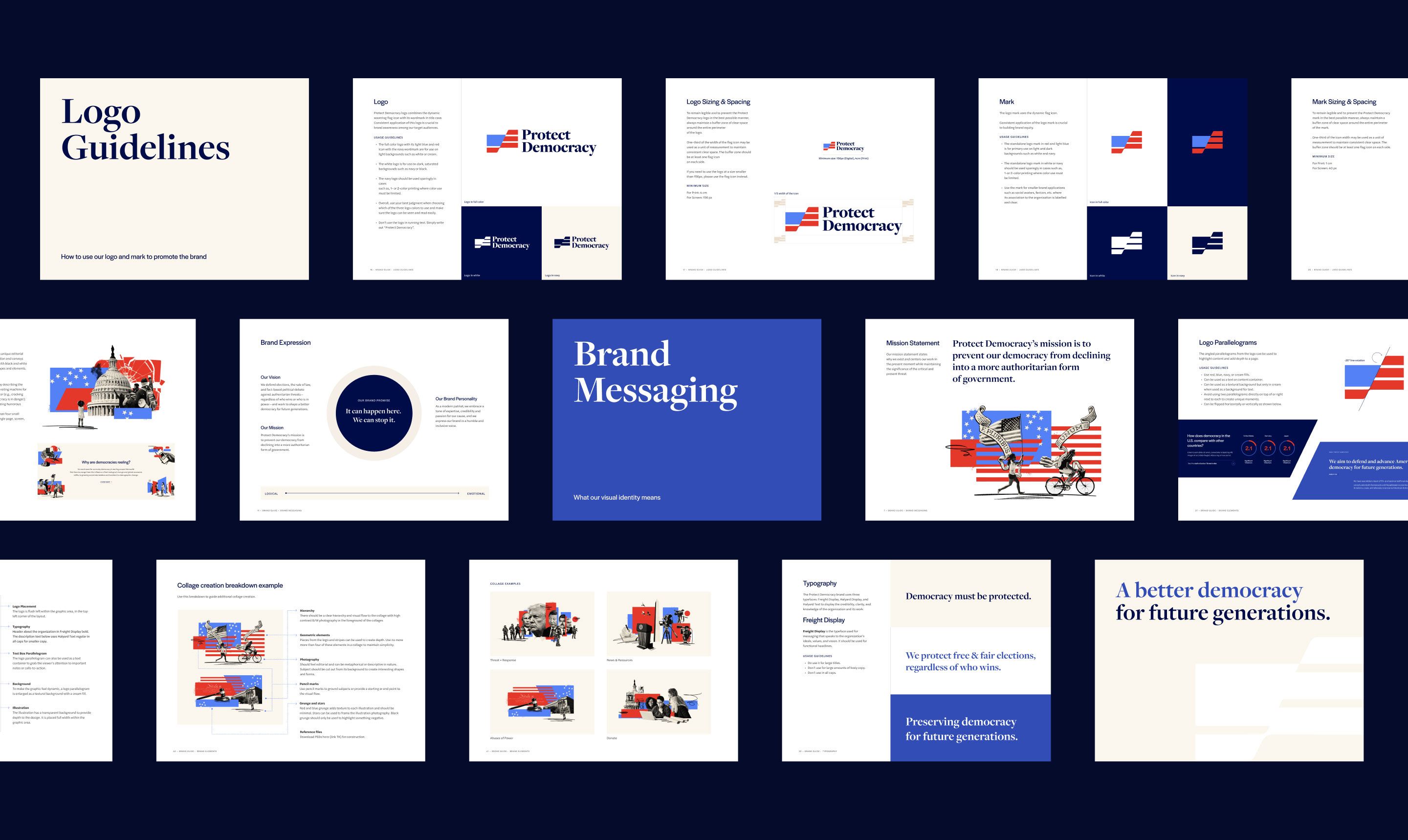 Protect Democracy - Wide Eye