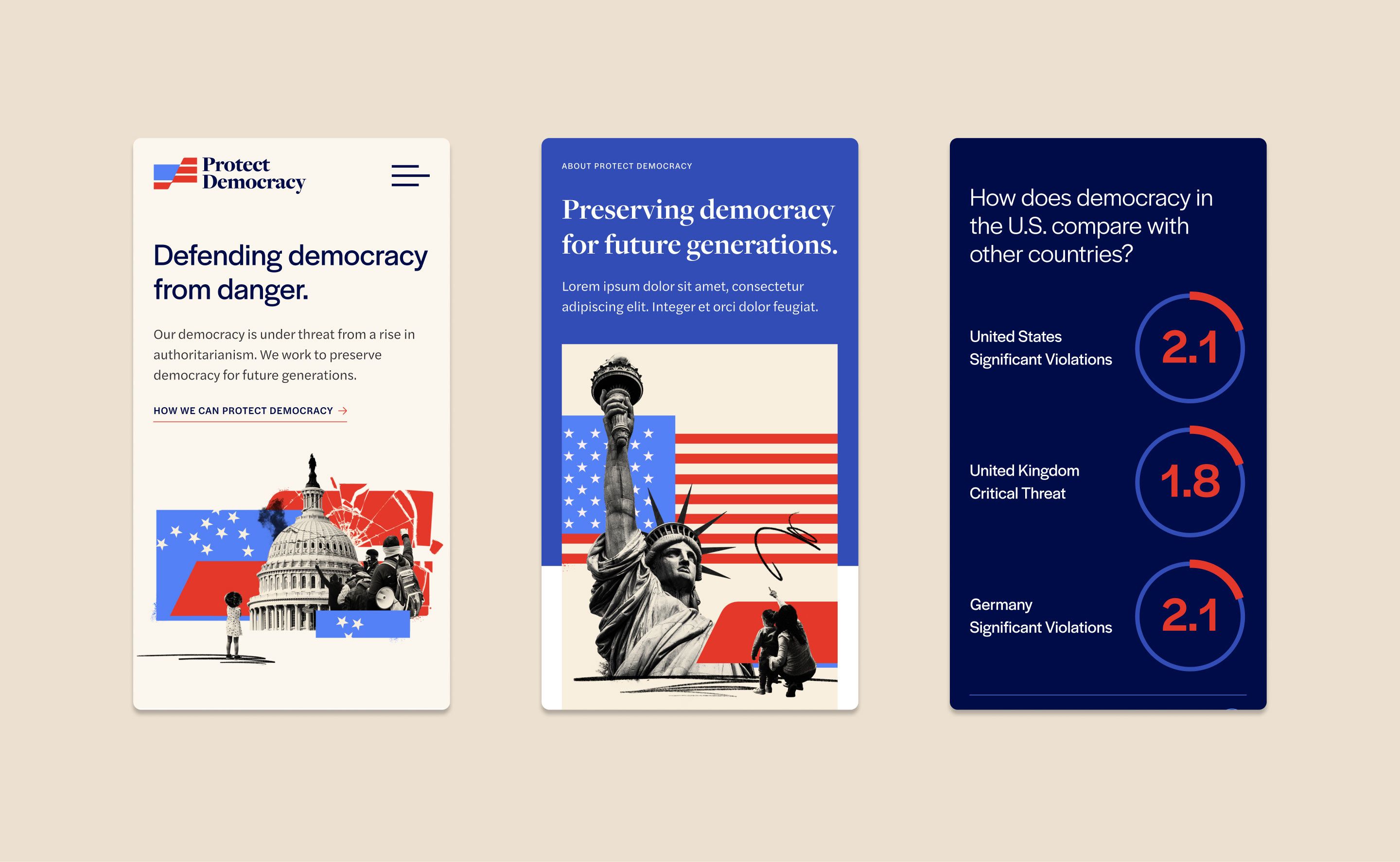 Protect Democracy - Wide Eye