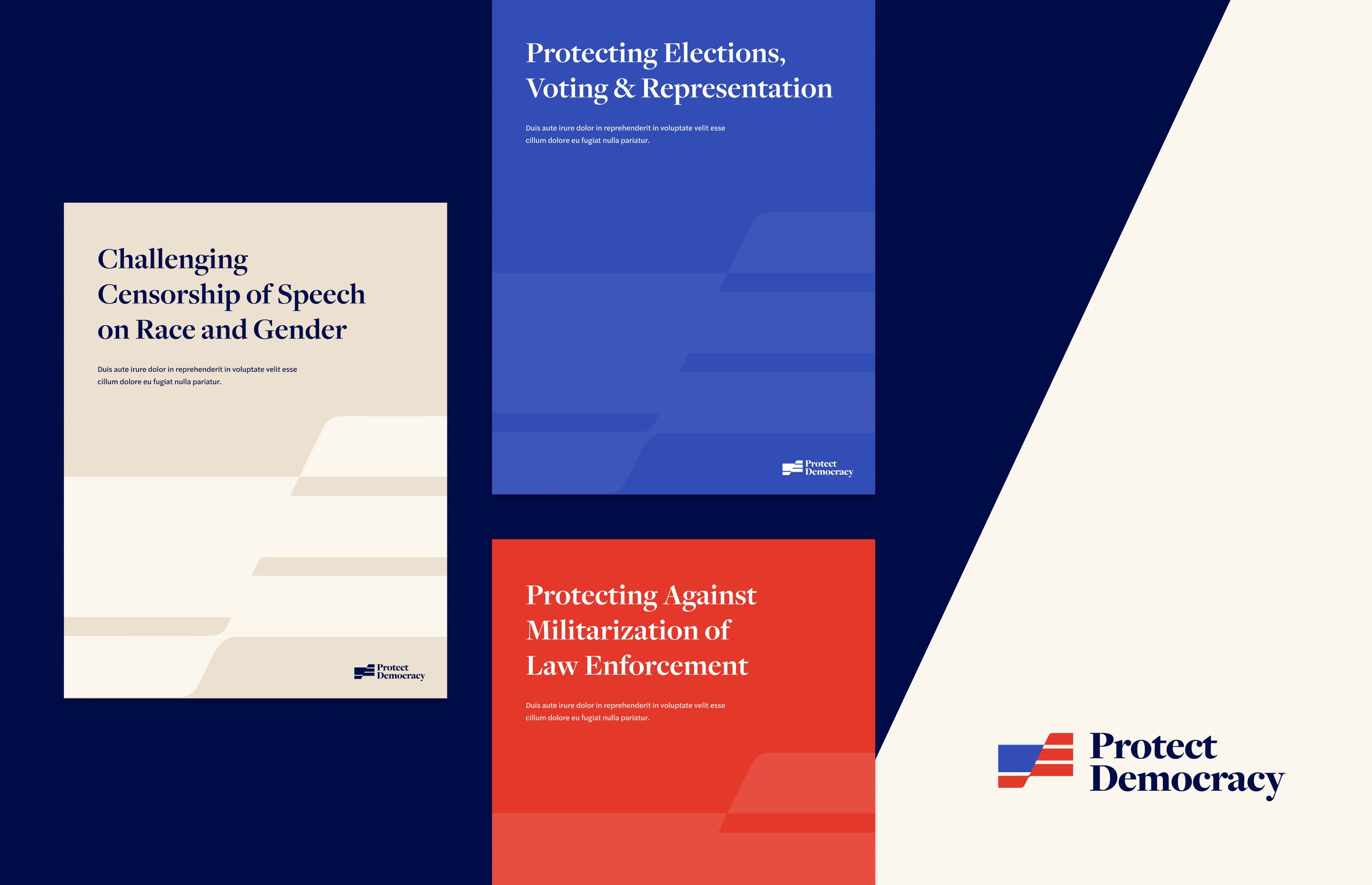 Protect Democracy - Wide Eye