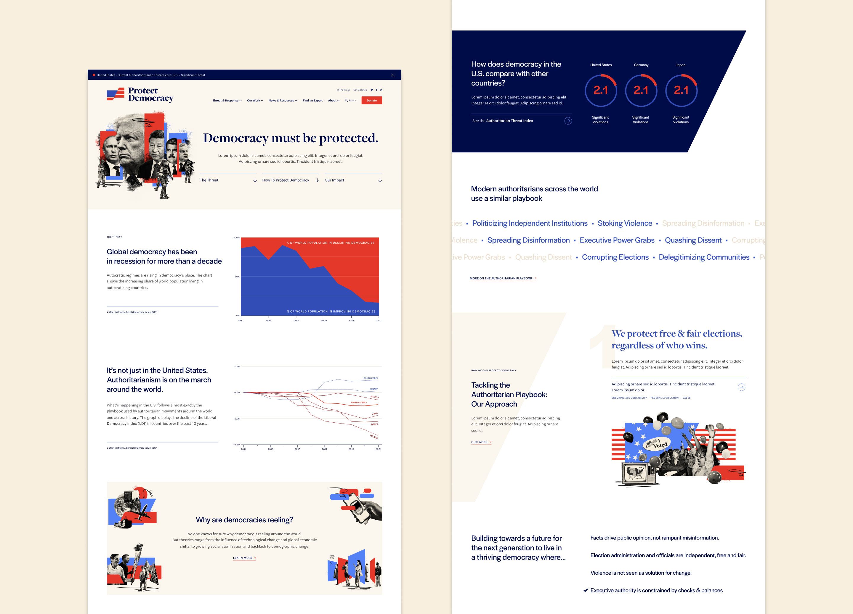 Protect Democracy - Wide Eye