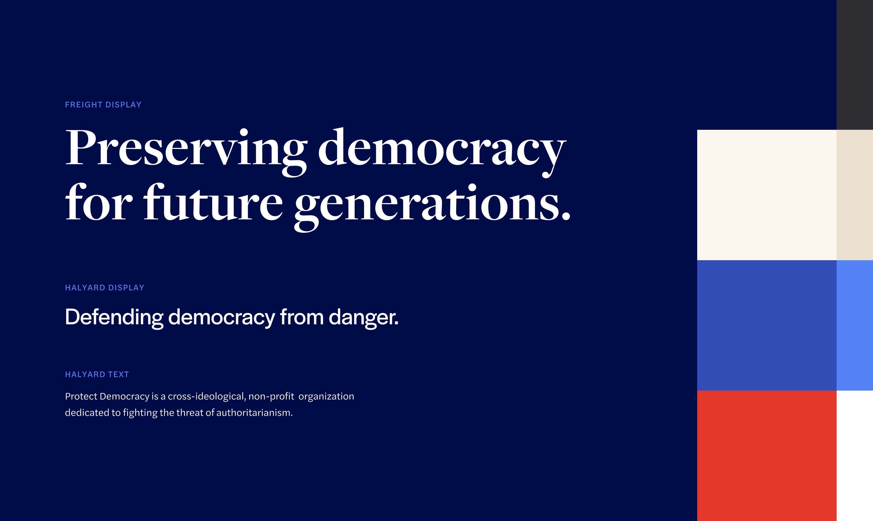 Protect Democracy - Wide Eye